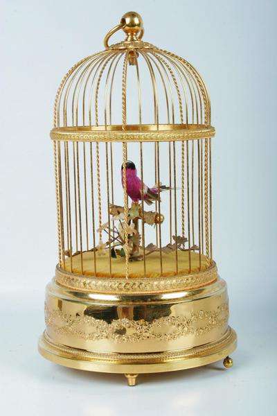 The Wright Stuff: The Princess and the cocky bird - a OWOH story