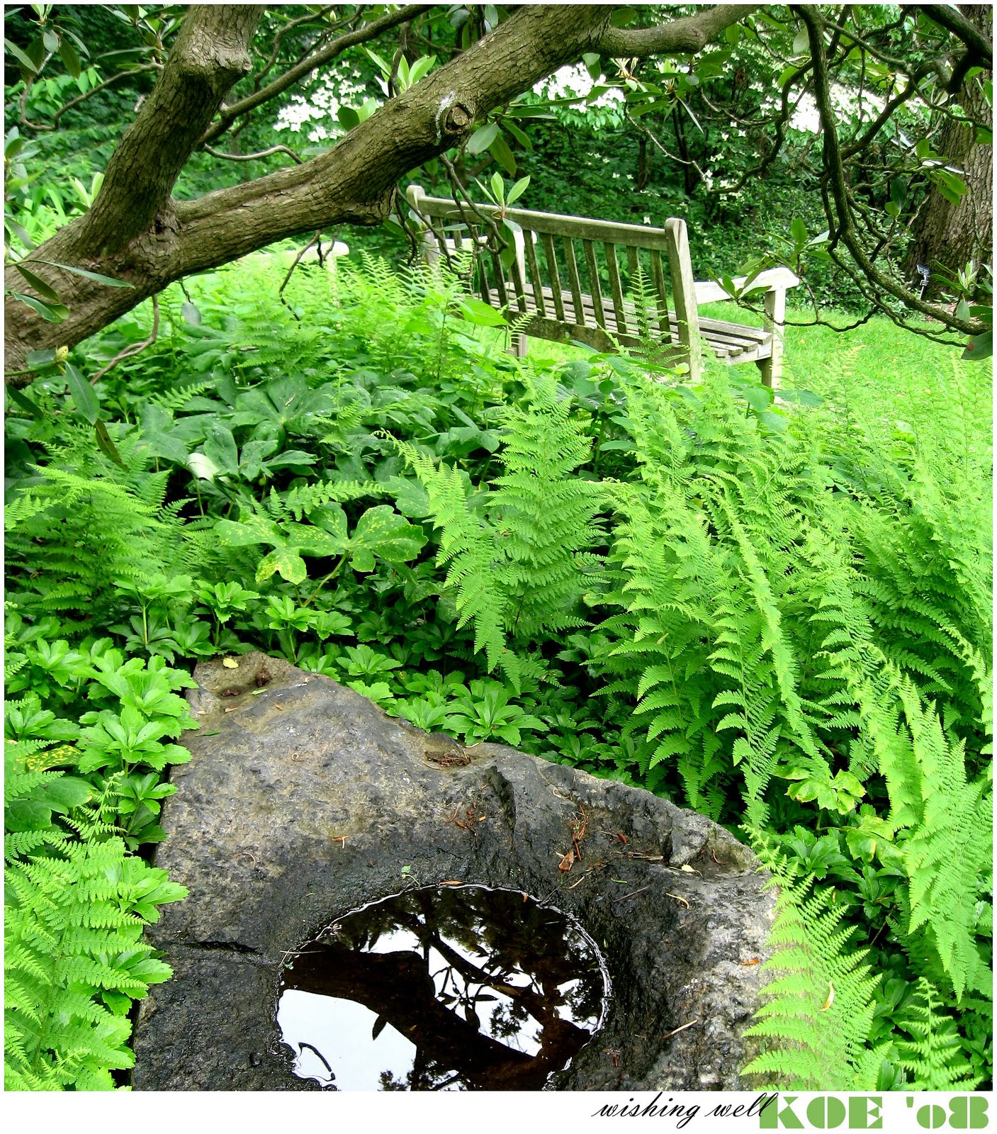 SIDE STREETS: Reeves-Reed Arboretum, Summit, NJ