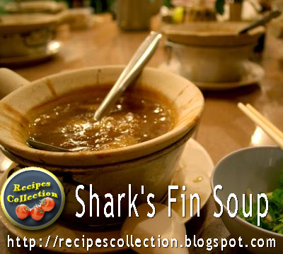 Recipes | International Cuisine | Cooking Tips | Healthy Diet: Shark's ...