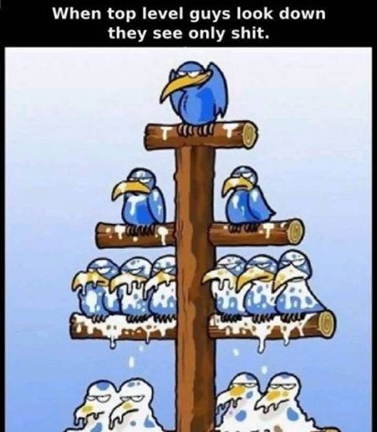 Funny Jokes & Videos: Funny Organization Hierarchy ... hahah