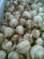 ♥ keluarga 17 ♥: Arrowhead @ Buah Ngaku