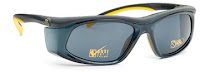 Occupational Vision Info