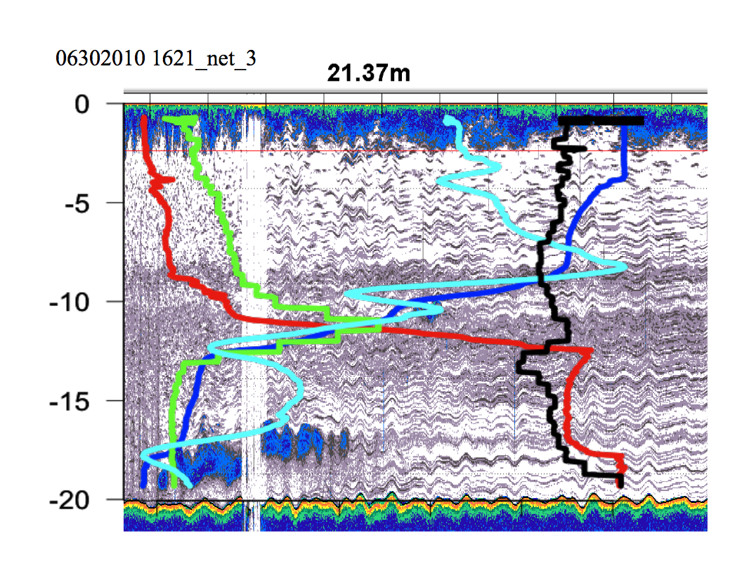 Ecology of Coastal Ocean Seascapes: The vertical structure of the ocean ...