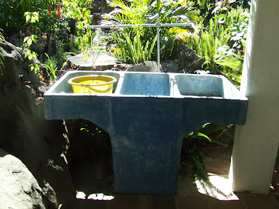 time is for the birds: the amazing pila of guatemala