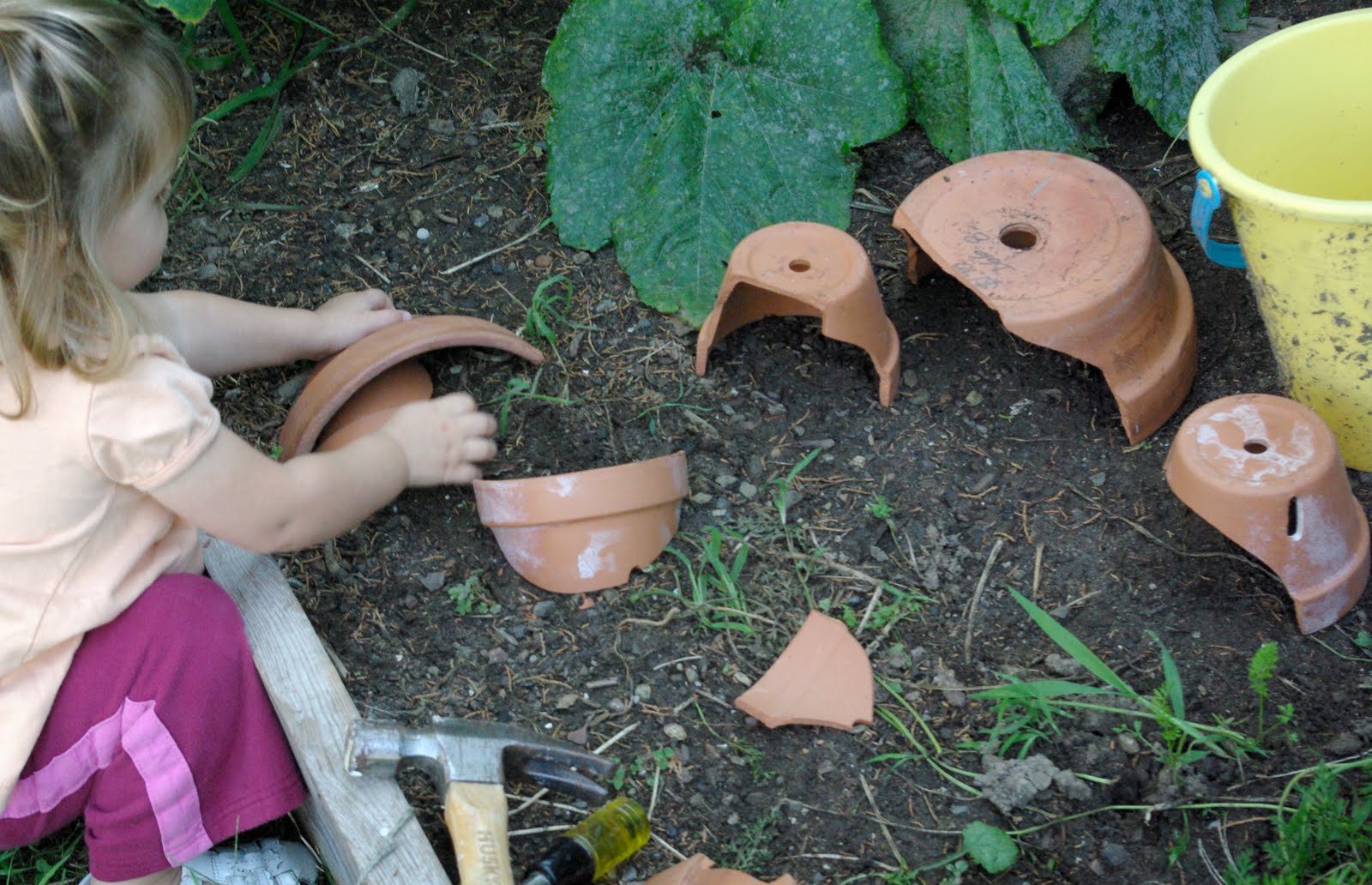 The Holdfast Seeker: Lizzie's toad house