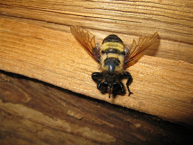 Clay Club: September 2010