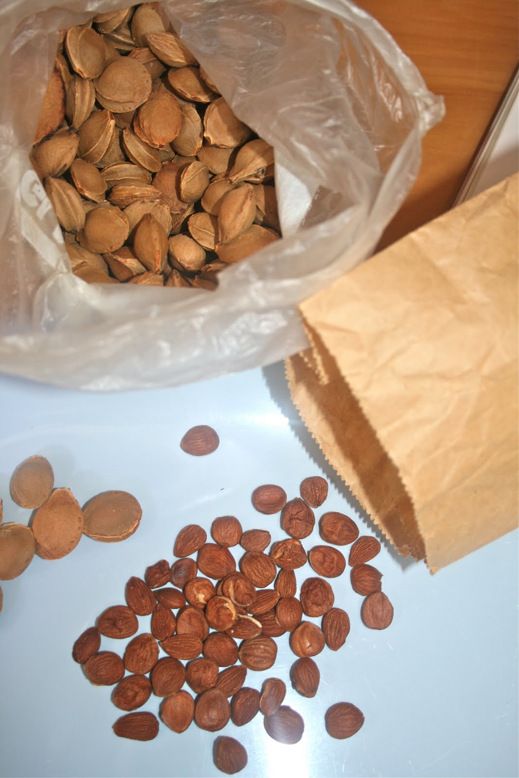 Home Made Marzipan Sweets