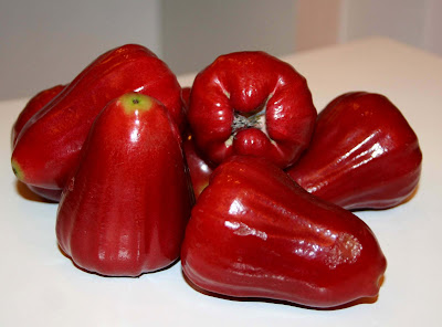 Living with Nature - School on Blog by Dr. Abercio V. Rotor: Macopa Hybrid