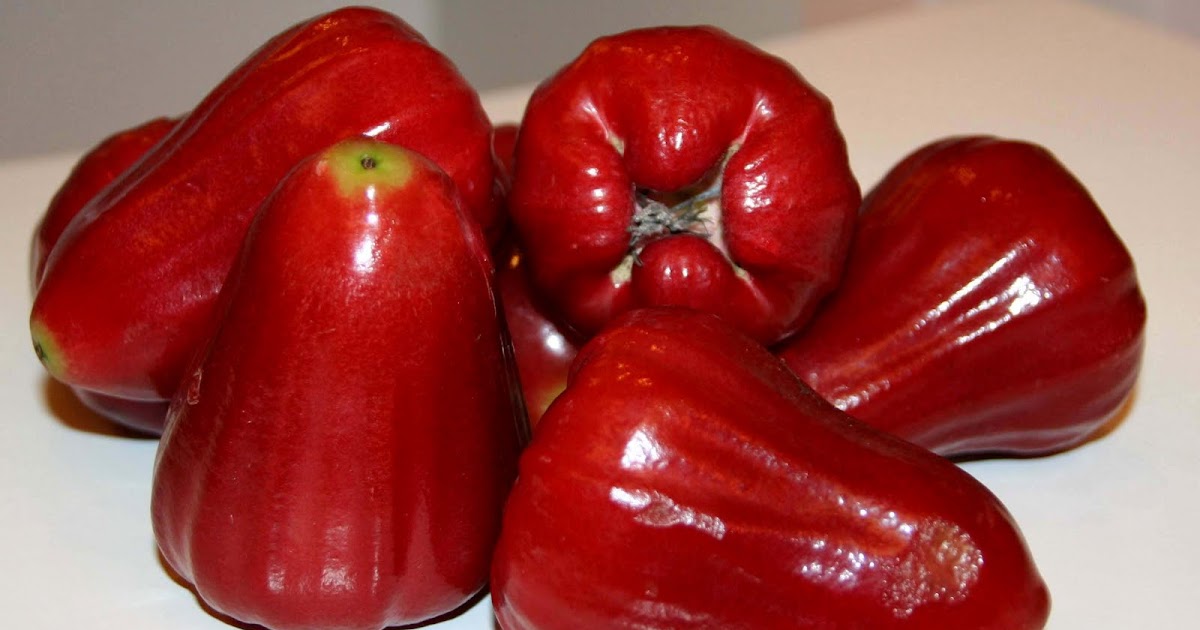 Living with Nature - School on Blog by Dr. Abercio V. Rotor: Macopa Hybrid