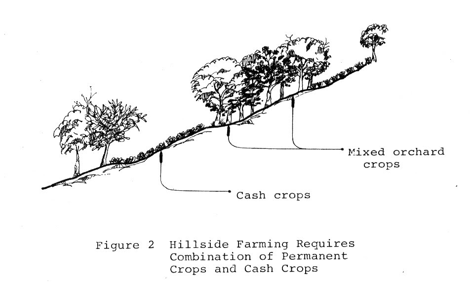 Living with Nature - School on Blog by Dr. Abercio V. Rotor ...