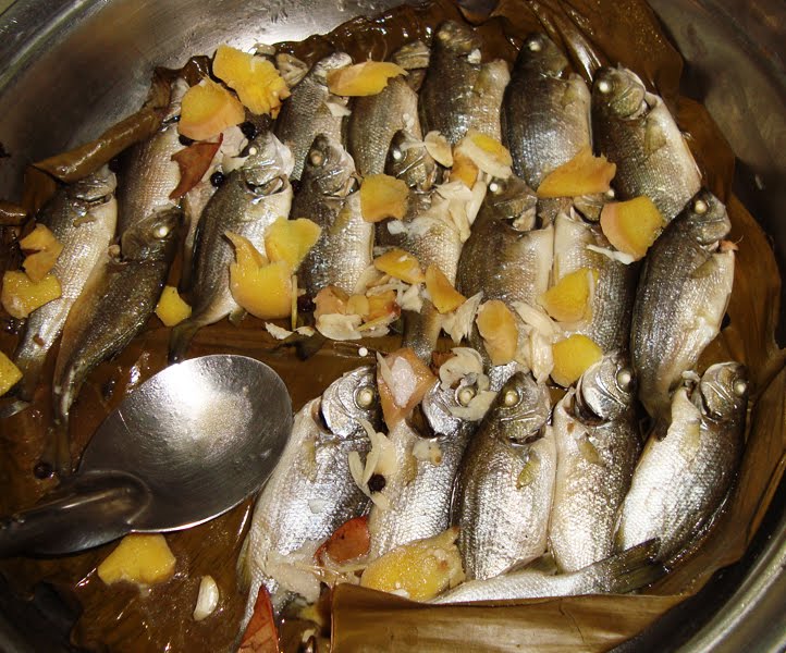 Living with Nature - School on Blog by Dr. Abercio V. Rotor: Ayungin ...