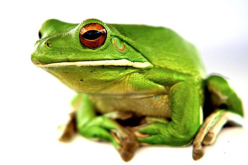 Finnes den rette på nettet?: Kontakt!