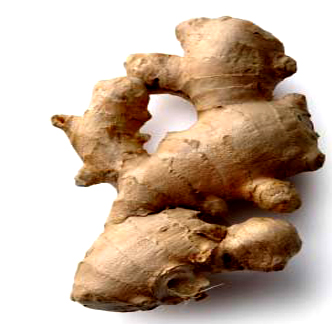 Health Information Tips: Ginger (Zingiber officinale)-Healing with Herbs