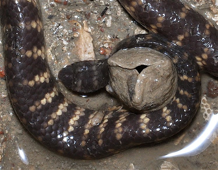 COLOURFUL CLOUDS: Return To Beting Bronok.....