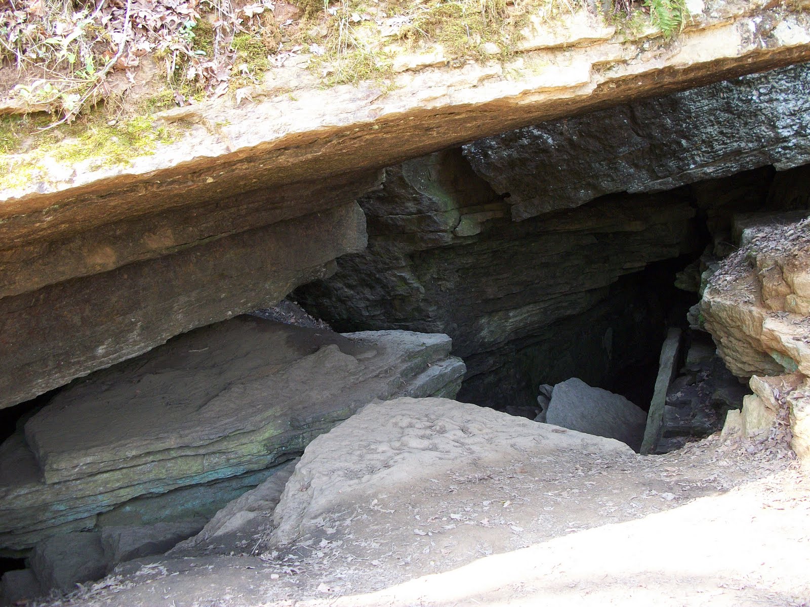 Nature Illustrated: Hiking The Devil's Den Trail