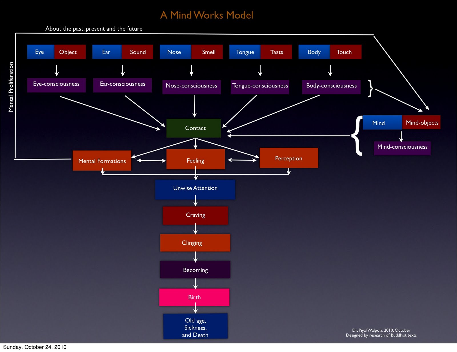 Wisdom through Mindfulness: A model- how the mind works and more...