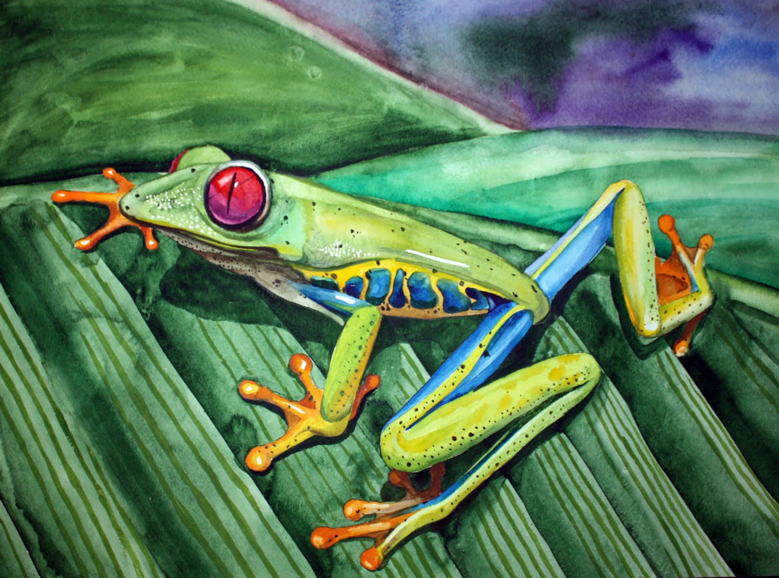 Krick's Art: Frog No.1