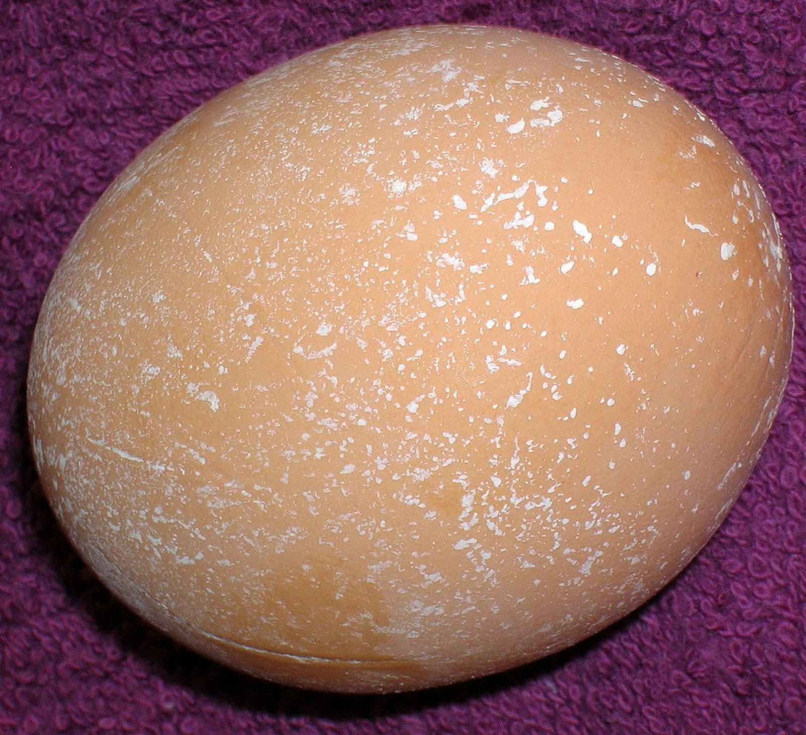 My Mountain Garden Gleanings: Weird Eggs