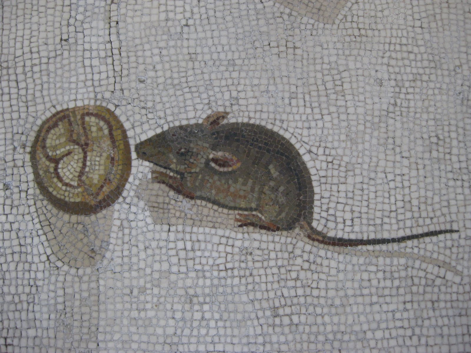 Mouse and walnut from "Unswept Floor" mosaic settembre.2010+018.JPG ...