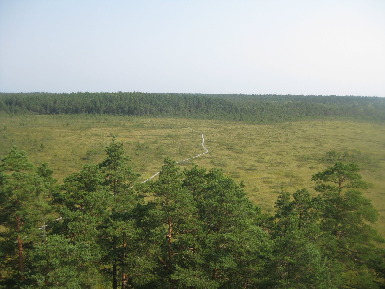 10 Monate Estland: Laheema Nationalpark oder der erste Sonnenbrand made ...