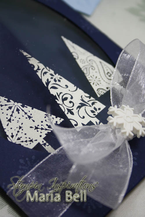 Inspired and Unscripted: Vellum/Acetate Window Pocket with Insert Tutorial