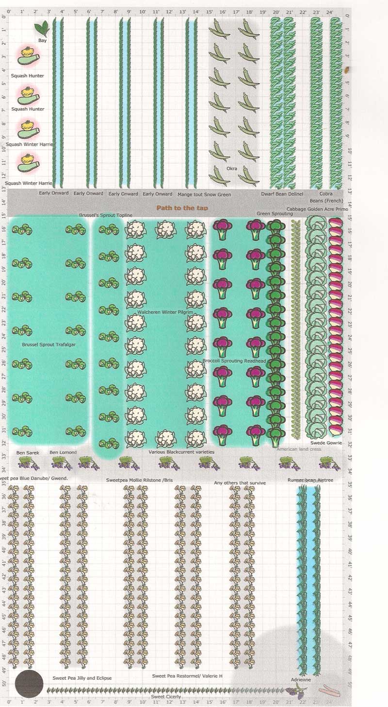 Allotment Garden: Revising the allotment plan