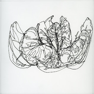 Studio Foundation Spring 2009: Julie's Contour Drawing of an Orange