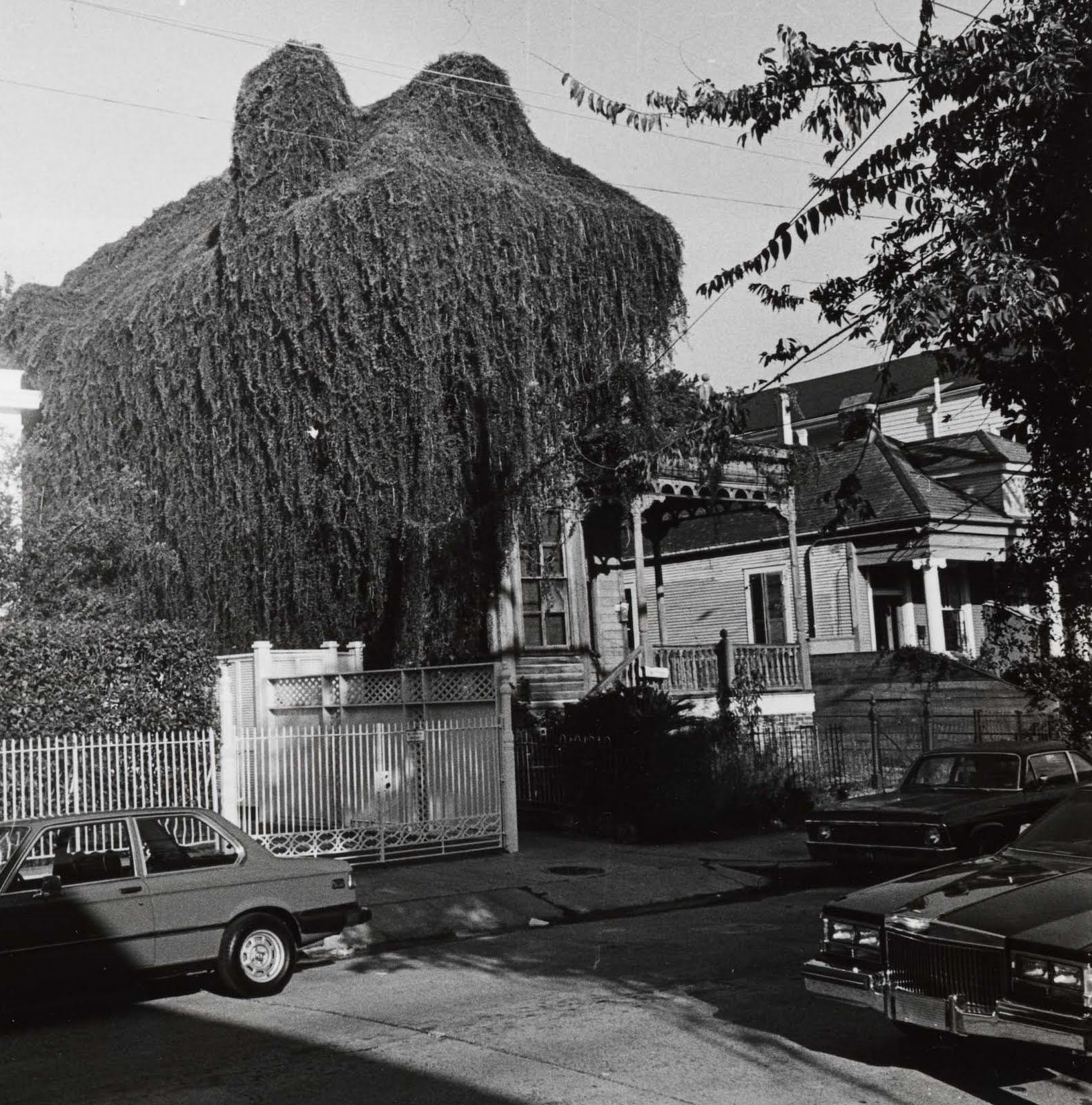 Architecture Research: House Eater