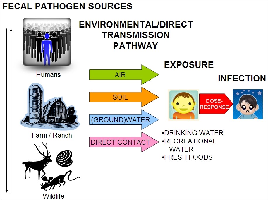 Random Groundwater Notes: Pathogens, Water, and Animal Agriculture