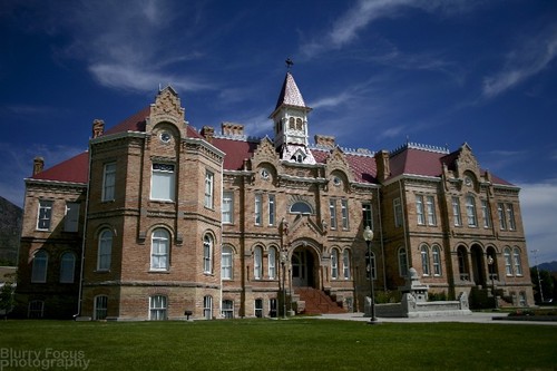 THE LIBRARIEST: Wallowing in Kid-Lit Decadence