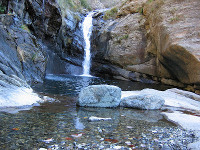 CICLOALPINISMO: Passo della Gava - Lago della Tina - Ponte Negrone - Lerca
