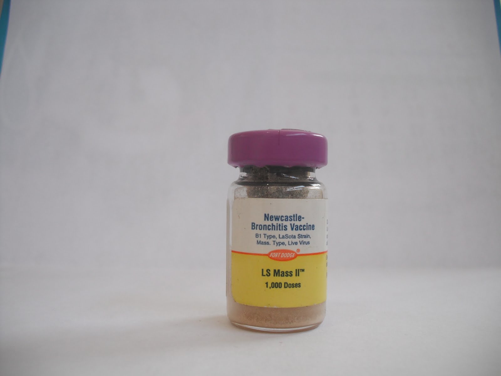 Paeco Agung: NEWCASTLE DISEASE LASOTA BRON MASS