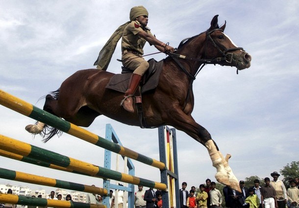 Horse Riding in India Gujarat Ahmedabad