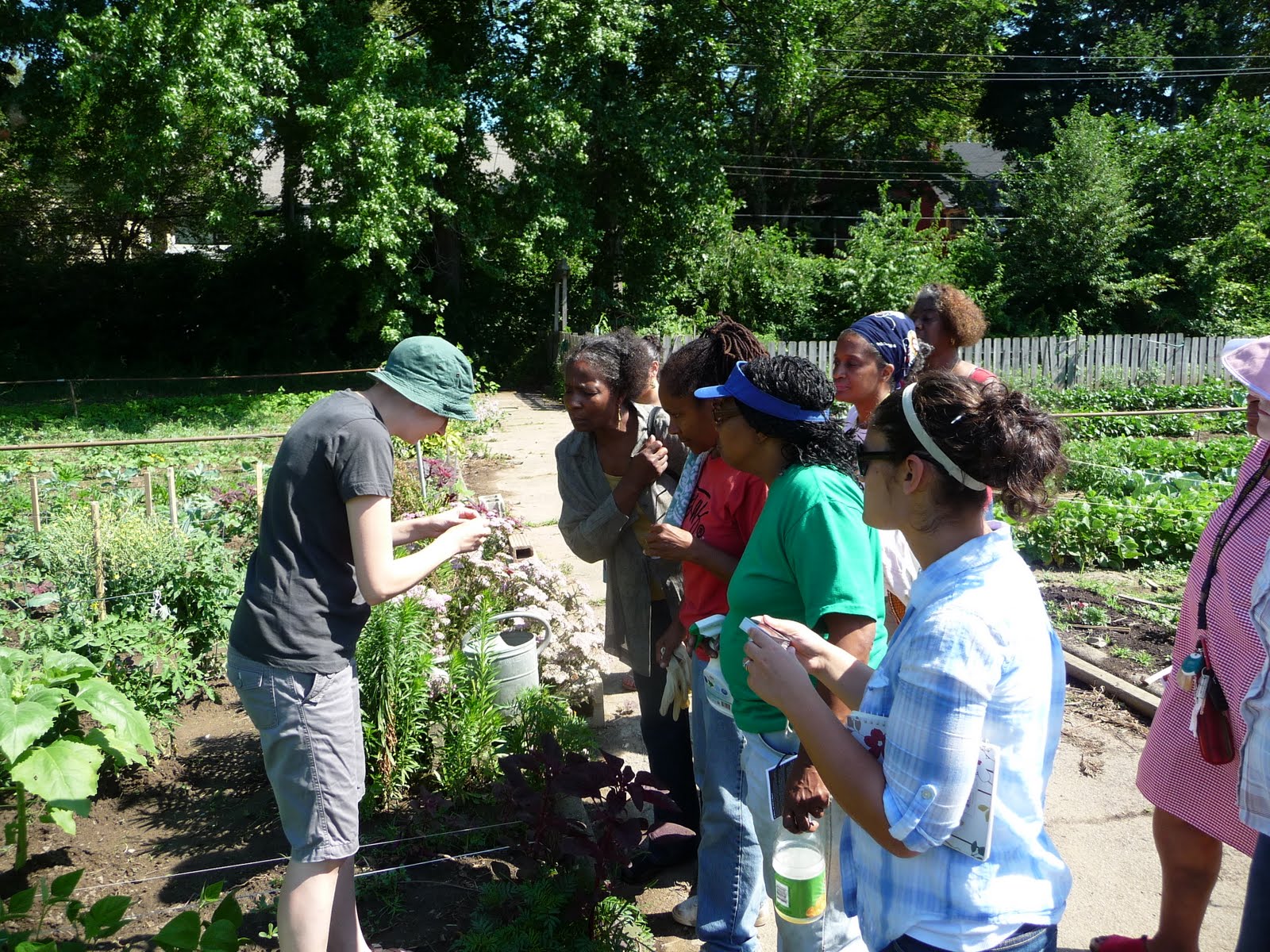 The Agricultural Landscape Ecology Lab: What's Eating Your Garden?