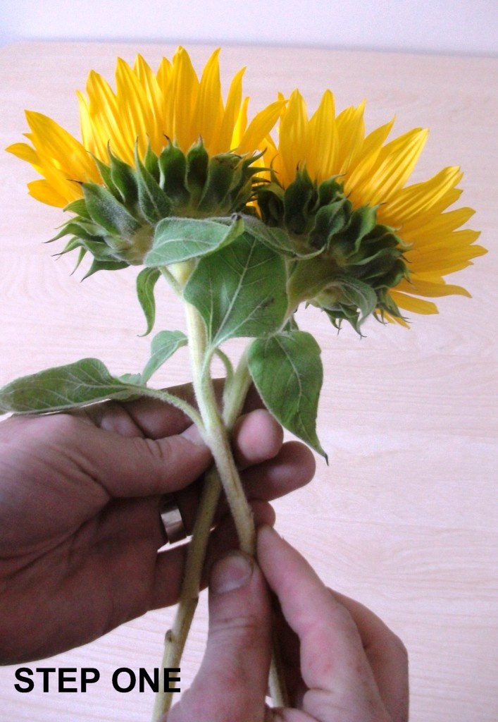 FloristJohnPaul: How to: Sunflower Bridal Bouquet