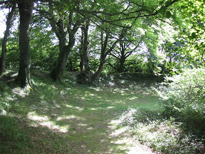 IRISHyouWEREhere: The Ballyalban Fairy Fort, A prehistoric ring-fort