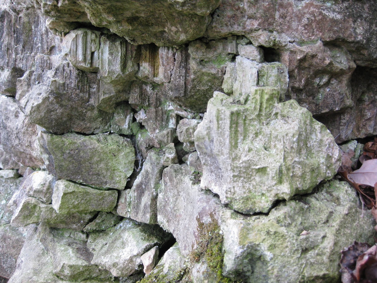 One Stylish Stylolite! : r/geology