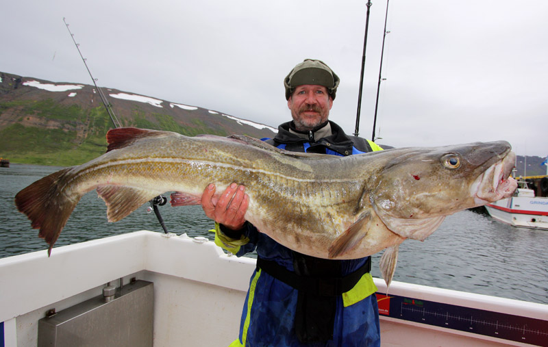 Arctic Angling: Monster Cods from 2009