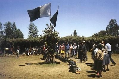 cultura mapuche: ceremonias