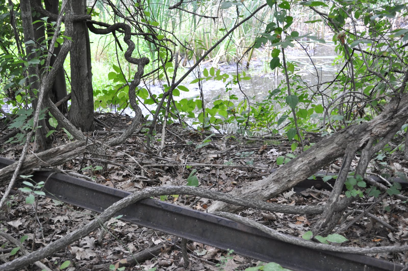 Creepy-chusetts, Strange-chusetts: Railroad tracks @ Minuteman Bikeway ...