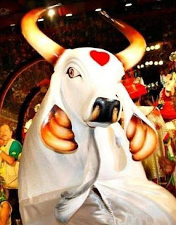 Amazonas: Roteiros: Roteiro Boi Bumbá e Festivais