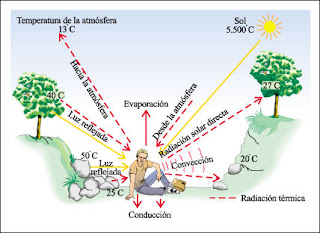 Profesor Héctor Reyes: Evaluación WebQuest Temperatura del Cuerpo Humano