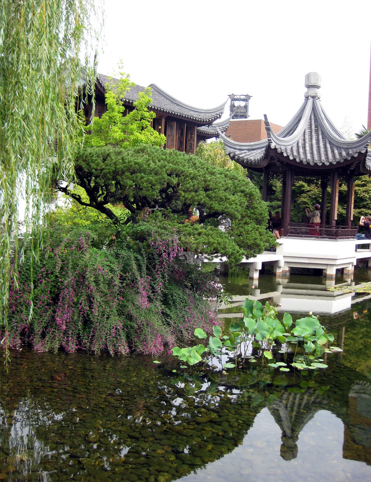 the Garden of Leah: Images from my day...