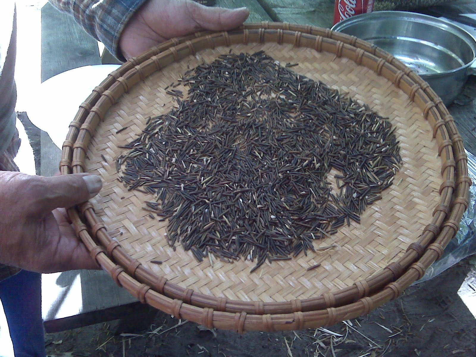 Mi Local Foodbeet: Manoomin