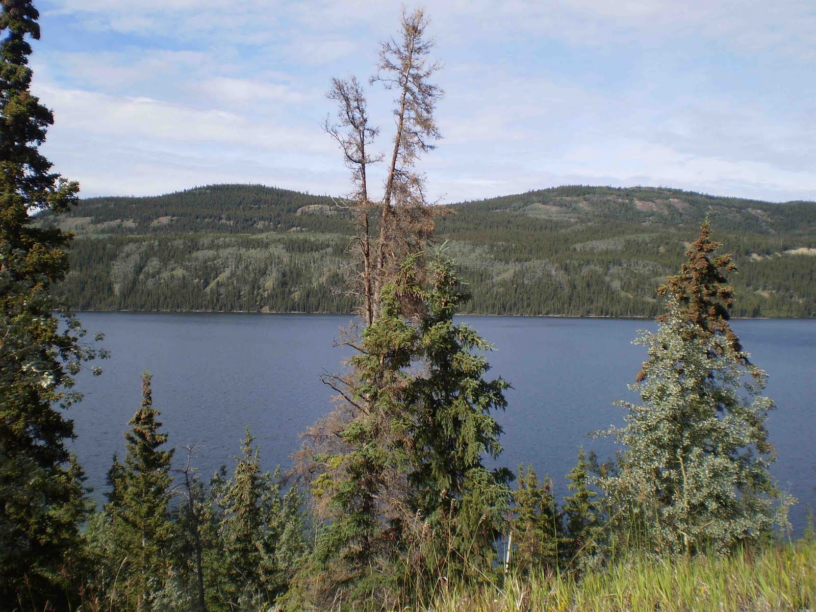 The Life Journey of Bill and Sheila. Tales From The Road of Life ...