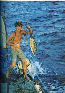 Grapefruit: June 2010