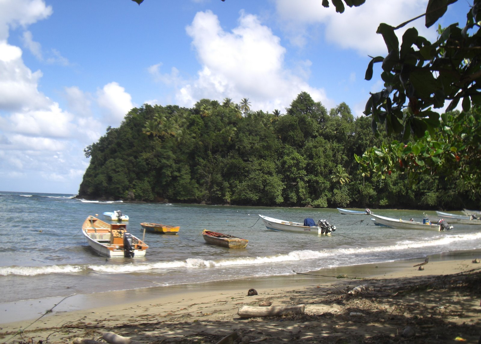 Pagua Bay ~ Dominica, West Indies