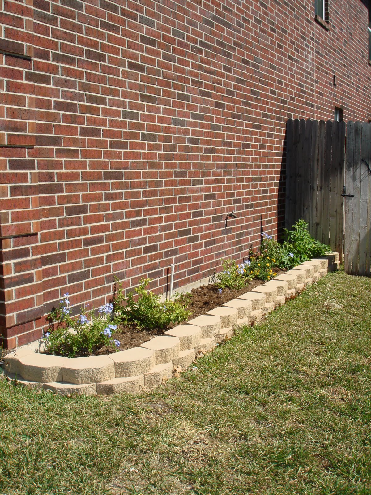 Our Family: Home Beautification