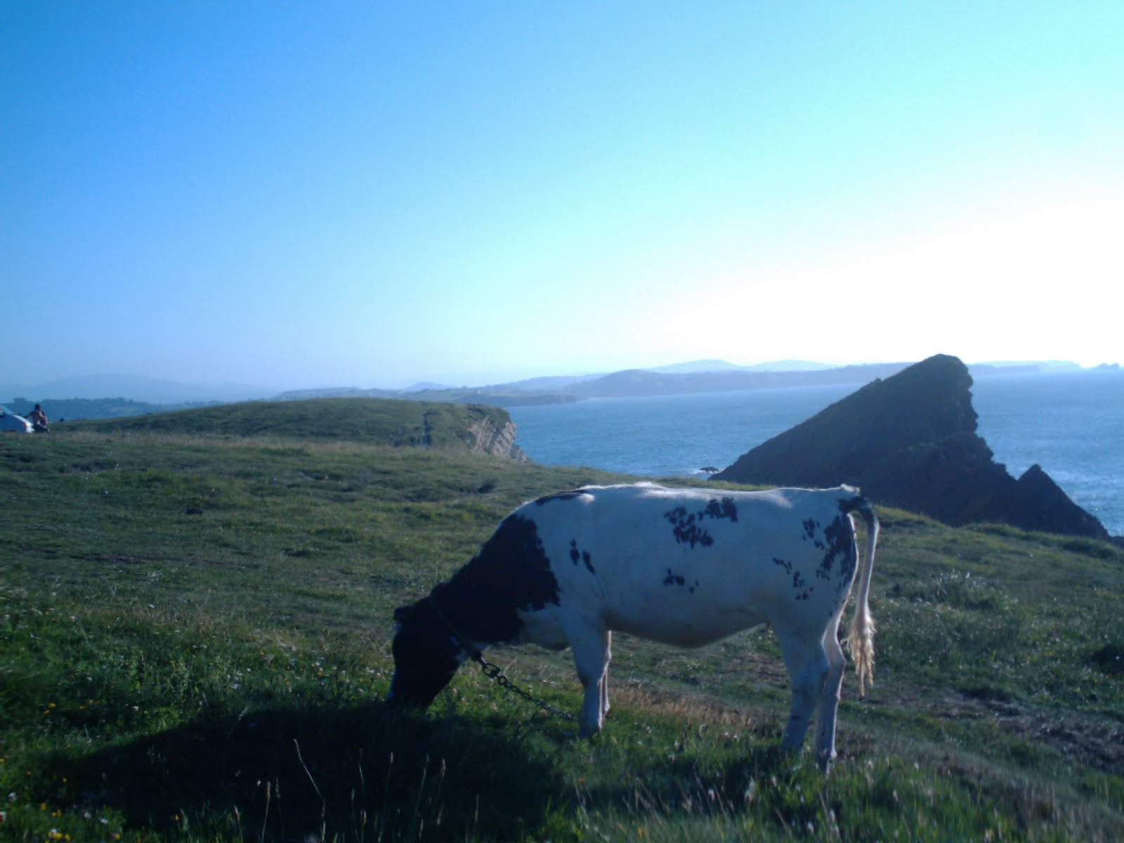 la ciudad habla: 2010/07 - 2010/08