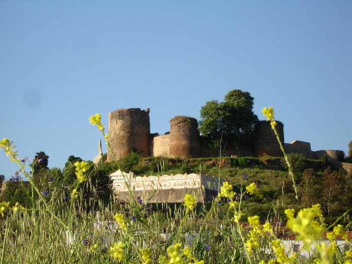 PASEO FOTOGRÁFICO POR CONSTANTINA ( SEVILLA )